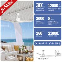China Outdoor Simple Design Waterproof ABS Blades Ceiling Fan With Remote Control for sale