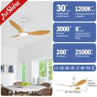 China Decorative Ceiling Fan With LED Light Living Room Quiet Dc Motor for sale