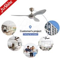 China Modern Sleek Silver Blade Design Ceiling Fan with 6-Speed Remote Control and Dimmable LED Light for sale