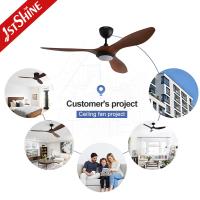 China Indoor DC Ceiling Fan With Light 3 ABS Blade Lower Noise for school for sale