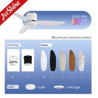 China Modern 2-in-1 Ceiling Fan – Optional LED Light Flush Mount Design for sale