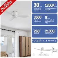 China Modern 2-in-1 Ceiling Fan – Optional LED Light Flush Mount Design for sale