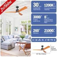 China Smart Home 52