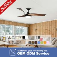 China 54-Inch LED Ceiling Fan – DC Motor, ABS Blades, Modern Lighting Design for sale