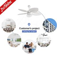 China 52 Inches Tropical Ceiling Fan with ABS Blades and Quiet DC Motor for Modern Comfort for sale