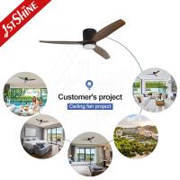 China 52 Inches Ceiling Fan Light with DC Motor and Solid Wood Blades for Indoor Living Room for sale