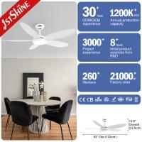 China 52 Inch Modern Ceiling Fan with LED Light and Silent DC Motor for sale