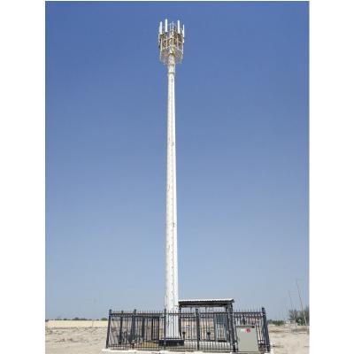 China Q235B Q345B Steel Monopole Cell Tower 20m to 100m Height for sale