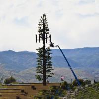 China Galvanized Steel Pipes Monopole Cell Towers Artificial Trees and Plants for sale