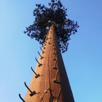China Communication Antenna Landscape Tree Tower 30m 35m 355MPa Yield Strength for sale