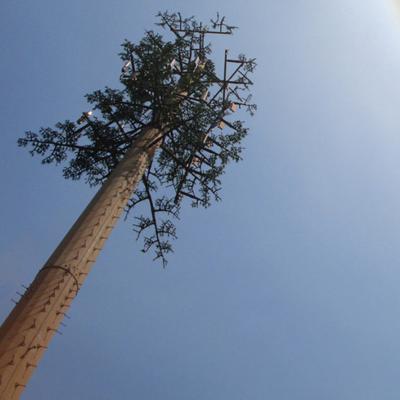 China Artificial Pine Tree Camouflage Monopole Tower 30m 35m 40m for sale