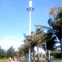 China 30m High Mast Galvanized Steel Camouflaged Mobile Cell Tower  and Light Pole for sale