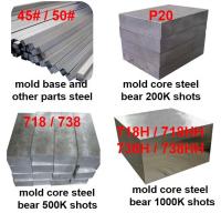 China Steel Material Custom Mold for Multiple Cavity Injection Rubber Die Casting for sale