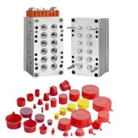 China Professional Plastic Injection Molding Services for Customized Molds with Hot Runner and Cold Runner for sale