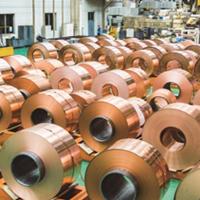 China C1020 C5191 Copper Strips Coil Sheet 30mm For Electronic for sale