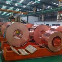 China Polished ETP Copper Coil Sheet Strip For Construction C1100 C1200 T2 Half Hard for sale