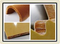 China Light Weight Flame Retardant Aramid Honeycomb Panels With Benzoxazine Resin for sale