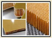 China High Performance Aramid Honeycomb Panels Radomes High Temperature Resistance for sale