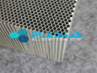China Un-crushed Cross-core Aluminum Honeycomb Impact Attenuator With Initial Peak Stress Elimination Option for Safety-related Nuclear Structures for sale