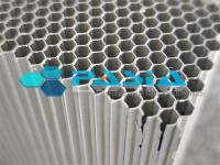 China Hexavalent Chrome Conversion Coated Aluminum Honeycomb Core High Bond Strength for Aircraft for sale