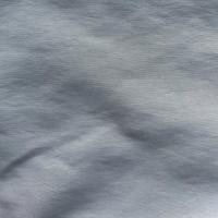 China Waterproof 100% Nylon 228t Nylon Taslan Fabric Crinkle Style For Jackets for sale