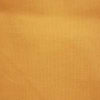 China 228t Nylon Full-dull Taslon For Beach Shorts,Waterproof,Pu Coated for sale
