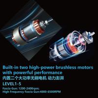 China Source Factory Custom 8D Two-in-One Muscle Gun High Frequency Release Shock Amplitude 16mm 35KG Thrust Brushless Motor 5-Speed for sale