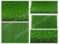 China Golf Putting Green Artificial Grass with PP Net SPU Latex Backing and Polypropylene for sale