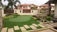 China DORELOM 15mm Artificial Putting Green Turf Grass for Golf 4*25m Pile Width All-Weather for sale