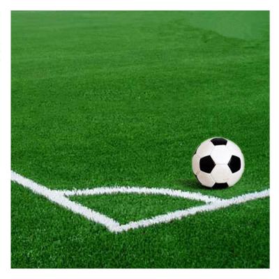 China 30mm 50mm 55mm 60mm Green Artificial Turf Grass Carpet Lawn for Football Field Stadium for sale