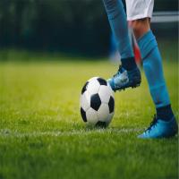China PE Green Mini Football Field Artificial Grass Soccer Field for Football Pitch Flooring for sale