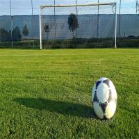 China PE Green Mini Football Field Artificial Grass Soccer Field for Football Pitch Flooring for sale