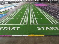 China Dorelom Fitness Lawn Carpet Flooring Black Blue Rainbow Synthetic Fake Turf Gym Artificial Grass For Fitness for sale