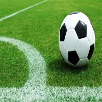 China Natural Non-Infill 50mm 60mm Football Turf for Soccer Stadium and Gym Outdoor Sports for sale