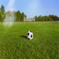 China Natural Non-Infill 50mm 60mm Football Turf for Soccer Stadium and Gym Outdoor Sports for sale