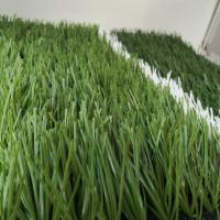 China Monofilament PE Outdoor Football Field Grass at High Density with 16/10cm Stitch Rate for sale