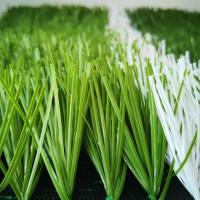 China Monofilament PE Outdoor Football Field Grass at High Density with 16/10cm Stitch Rate for sale