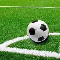 China 16.5 Stitch Rate Mini Football Field Artificial Grass for Gym Outdoor Sports Flooring for sale