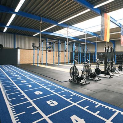 China CE ISO9001 ISO14001 Certified Dorelom Training Athletic Turf Mat for Fitness Flooring for sale