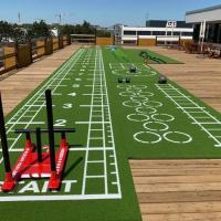 China CE ISO9001 ISO14001 Certified Dorelom Training Athletic Turf Mat for Fitness Flooring for sale