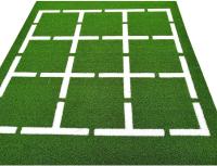 China CE ISO9001 ISO14001 Certified Dorelom Training Athletic Turf Mat for Fitness Flooring for sale