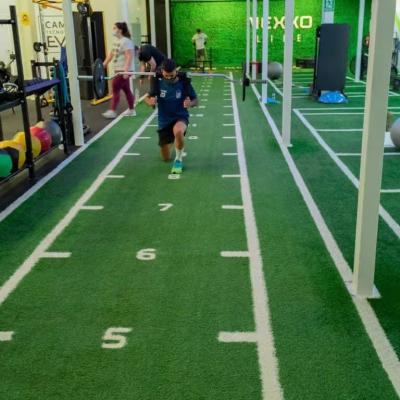 China Comfortable Brown Synthetic Grass Sports Flooring for Garden Workout Bliss Gym Turf Mat for sale