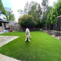 China SPU/SBR Coating Viva Green Color Synthetic Grass Turf for Outdoor Wedding Garden Landscape for sale