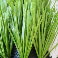China 20stitches/m Stitch Rate 55mm Artificial Turf for Soccer Field Synthetic Grass for sale