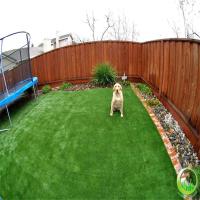 China 25mm 30-50mm Pile Height Green Red Black Blue White Synthetic Grass Carpet Roll for sale