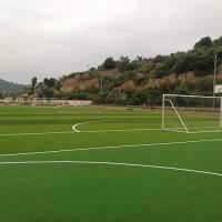 China 20stitches/m Stitch Rate 55mm Artificial Turf for Soccer Field Synthetic Grass for sale