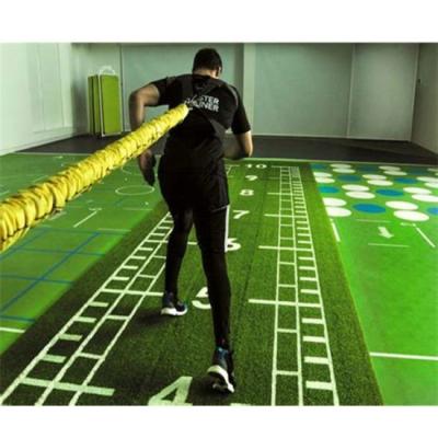 China High Density 63000 Stitches/m2 Customized Gym Grass for Sports Floor and Sled Training for sale
