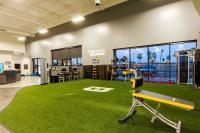 China Artificial Grass with 63000 Stitches/m2 Density PE Gym Flooring Turf for sale