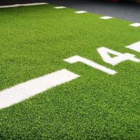 China Custom Logo Design Gym Artificial Grass with Brown Turf and Double PP NET SPU Backing for sale