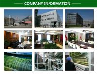 China Durable Construction Green PE 12000 DTEX Synthetic Grass Turf for Soccer Field for sale